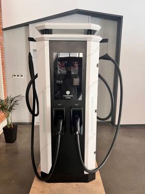 China Custom Ocpp China Manufacturer Electric Car Charging Station DC Charging Pile 120kW Level 3 Highway for sale