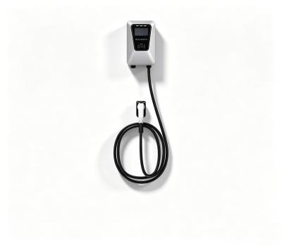 China 32A 7KW Silver Single Port EV AC Charging Station Wall Column Type for sale