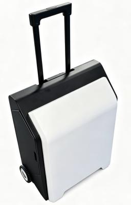 China Portable Trolley Energy Storage: Large Capacity, Easy Single-Person Mobility for sale