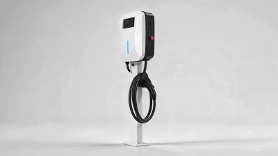 China High Performance Minor snow series Landing Type EV Charger 22kW Dual Gun 220V IP54 OCPP1.6J Reliable AC Charging Unit For EVs for sale
