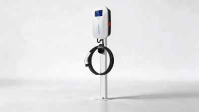 China Minor snow series CLF AC 14 Landing EV Charger 14kW Dual Gun 220V IP54 OCPP1.6J Smart AC Charging Station For Home And Commercial Electric Vehicle Charging for sale