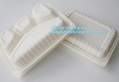 China Biodegradable Corn Starch Meat Tray 226x140x22mm Disposable Food Container for sale