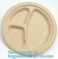 China Biodegradable Corn Starch Food Tray 226x140x22mm Disposable Eco Friendly Plate for sale