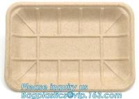 China Biodegradable Corn Starch Food Tray 226x140x22mm Disposable Eco Friendly Plate for sale