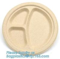 China Biodegradable Corn Starch Food Tray 226x140x22mm Disposable Eco Friendly Plate for sale