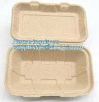 China biodegradable disposable corn starch tray compartment catering tray fruit packaging tray made from cornstarch for sale