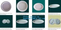 China Biodegradable Corn Starch Disposable Food Tray 226x140x22mm Eco Friendly for sale