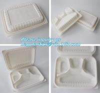 China Biodegradable Corn Starch Food Tray 226x140x22mm Disposable Airline Fast Food Tray with Handle for sale