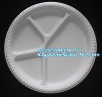 China Biodegradable Corn Starch Food Tray 226x140x22mm Disposable Airline Fast Food Tray with Handle for sale