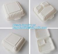 China Biodegradable Corn Starch Food Tray 226x140x22mm Disposable Airline Fast Food Tray with Handle for sale