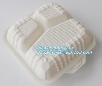 China Biodegradable Corn Starch Food Serving Tray 226x140x22mm Eco Friendly Meat Packaging Tray for sale