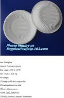 China Biodegradable Corn Starch Disposable Food Tray 226x140x22mm 22g Eco Friendly for sale