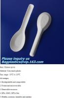China Biodegradable Corn Starch Disposable Food Tray 226x140x22mm 22g Eco Friendly for sale