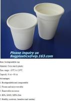 China Biodegradable Corn Starch Disposable Food Tray 226x140x22mm 22g Eco Friendly for sale
