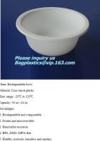 China Biodegradable Corn Starch Disposable Food Tray 226x140x22mm 22g Eco Friendly for sale