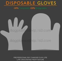 China Wholesale Biodegradable Corn Starch Disposable Gloves 100% Compostable Eco Friendly for sale