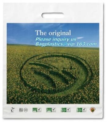 China Compostable PE Plastic Shopping Bag with Die Cut Handle Custom Printing 100% Biodegradable for sale