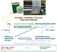 China Eco Friendly Biodegradable Compostable Garbage Bags on Roll 100% Corn Starch 13 Gallon for sale