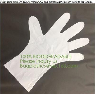 China Biodegradable PLA Disposable Gloves EN13432 BPI OK Compost 100% Corn Starch Kitchen for sale