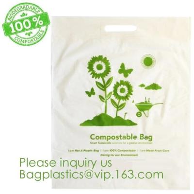 China Eco Friendly Compostable Garbage Bags with Drawstring 100 Percent Biodegradable Cornstarch 13 Gallon for sale