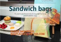 China PE Double Sealed Reclosable Zipper Bag 2 Mil Thick 4x6 Inch Clear Poly Bag for sale