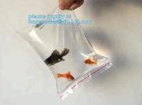 China Custom Printed Resealable Zip Lock Plastic Pill Pouch Medical Zip Lock Bags 2 Mil Thick for sale