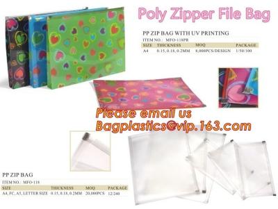 China Clear PVC Pencil Case 6 Compartment Transparent School Stationery Storage Bag A4 Size for sale