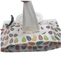 China Eco-Friendly PEVA Wet Wipes Bag 13x25+4cm Reusable Travel Tissue Pouch with Zipper for sale