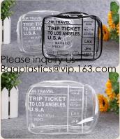 China Transparent PVC Cosmetic Bag Travel Makeup Pouch with Zipper 30.5x30.5x15.2cm for sale