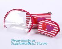 China Clear PVC Cosmetic Travel Organizer Bag with Zipper Closure 20x15cm Toiletry Pouch for sale