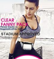 China Clear PVC Fanny Pack with Double Zipper and Adjustable Strap 30x15x7.5cm for sale