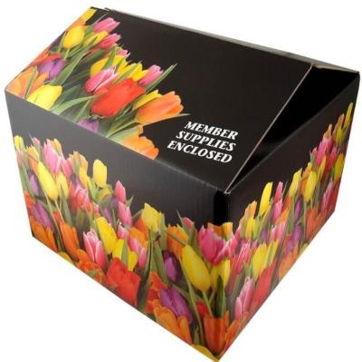 China Custom Printed Paper Box for Gift Packaging 250GSM Coated Paper with Embossing for sale