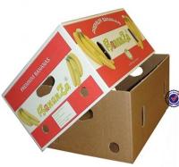 China Custom Printed Paper Box for Gift Packaging 250GSM Coated Paper with Embossing for sale