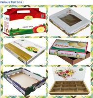 China Customized Luxury Rigid Paper Gift Box with Gold Foil Stamping and Magnetic Closure 300GSM for sale