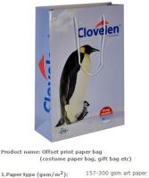China Custom Luxury Paper Shopping Bag with Ribbon Handle 250gsm Kraft Paper Eco Friendly Promotional Gift Carrier for sale