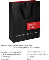 China Custom Luxury Paper Gift Carrier Bag with Ribbon Handle 250gsm Kraft Paper for sale