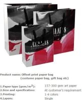 China Custom Luxury Paper Carrier Bag 250gsm Glossy Lamination Shopping Gift Bags Wholesale for sale