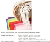 China Custom Kraft Paper Shopping Carrier Bag 250gsm Luxury Printed Paper Bag for Cosmetics Retail for sale