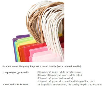 China Custom Kraft Paper Shopping Carrier Bag 250gsm Luxury Printed Paper Bag for Cosmetics Retail for sale