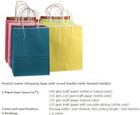 China Custom Printed Kraft Paper Shopping Bag 250gsm Luxury Recycled Carrier with Twisted Handle for sale