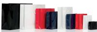 China Custom Luxury Paper Carrier Bag with Rope Handle 250gsm Glossy Cardboard Shopping Bag for sale