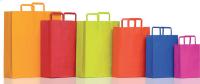 China Custom Recycled Paper Carrier Bag with Handle 250gsm Kraft Paper Shopping Bag for Retail Gift Packaging for sale
