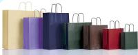 China Custom Recycled Paper Carrier Bag with Handle 250gsm Kraft Paper Shopping Bag for Retail Gift Packaging for sale
