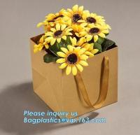 China Custom Luxury Paper Carrier Bags for Wedding Gifts 250gsm with Handles for sale