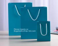 China Custom Printed Luxury Paper Shopping Gift Bag with Handles 250gsm Ivory Board for sale