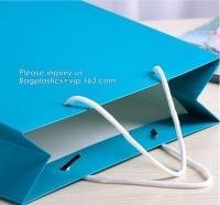 China Custom Printed Luxury Paper Shopping Gift Bag with Handles 250gsm Ivory Board for sale