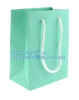 China Custom Luxury Paper Shopping Bags 250gsm Art Paper with Rope Handles for Retail Branding for sale