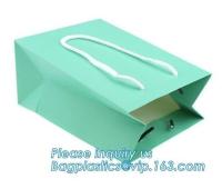 China Custom Luxury Paper Shopping Bags 250gsm Art Paper with Rope Handles for Retail Branding for sale