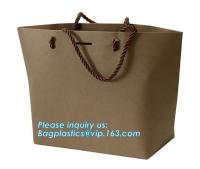 China Custom Kraft Paper Shopping Bags with Logo 500 Pieces MOQ 1 Million Capacity for sale
