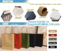 China Custom Printed Luxury Paper Shopping Bag with Twisted Paper Handle 2 Colors Logo for sale